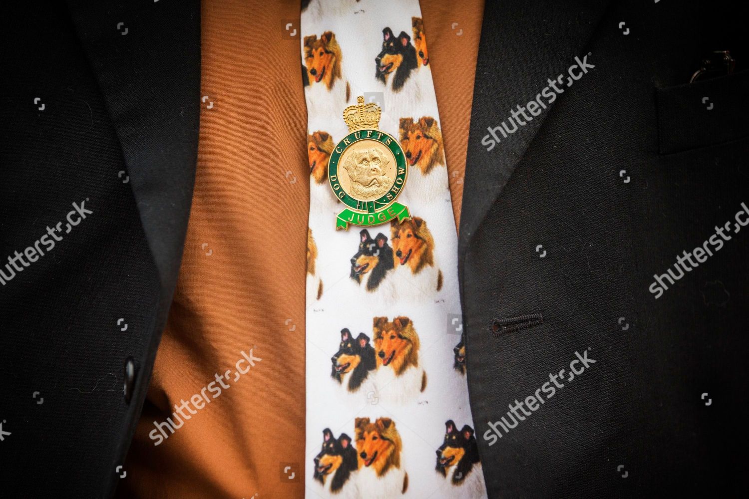 Judges Badge Detail Editorial Stock Photo - Stock Image | Shutterstock
