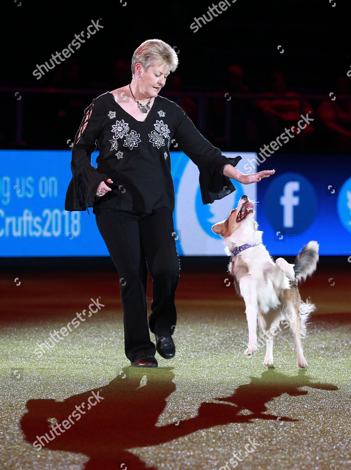 Mary Ray Her Border Collies Editorial Stock Photo - Stock Image ...