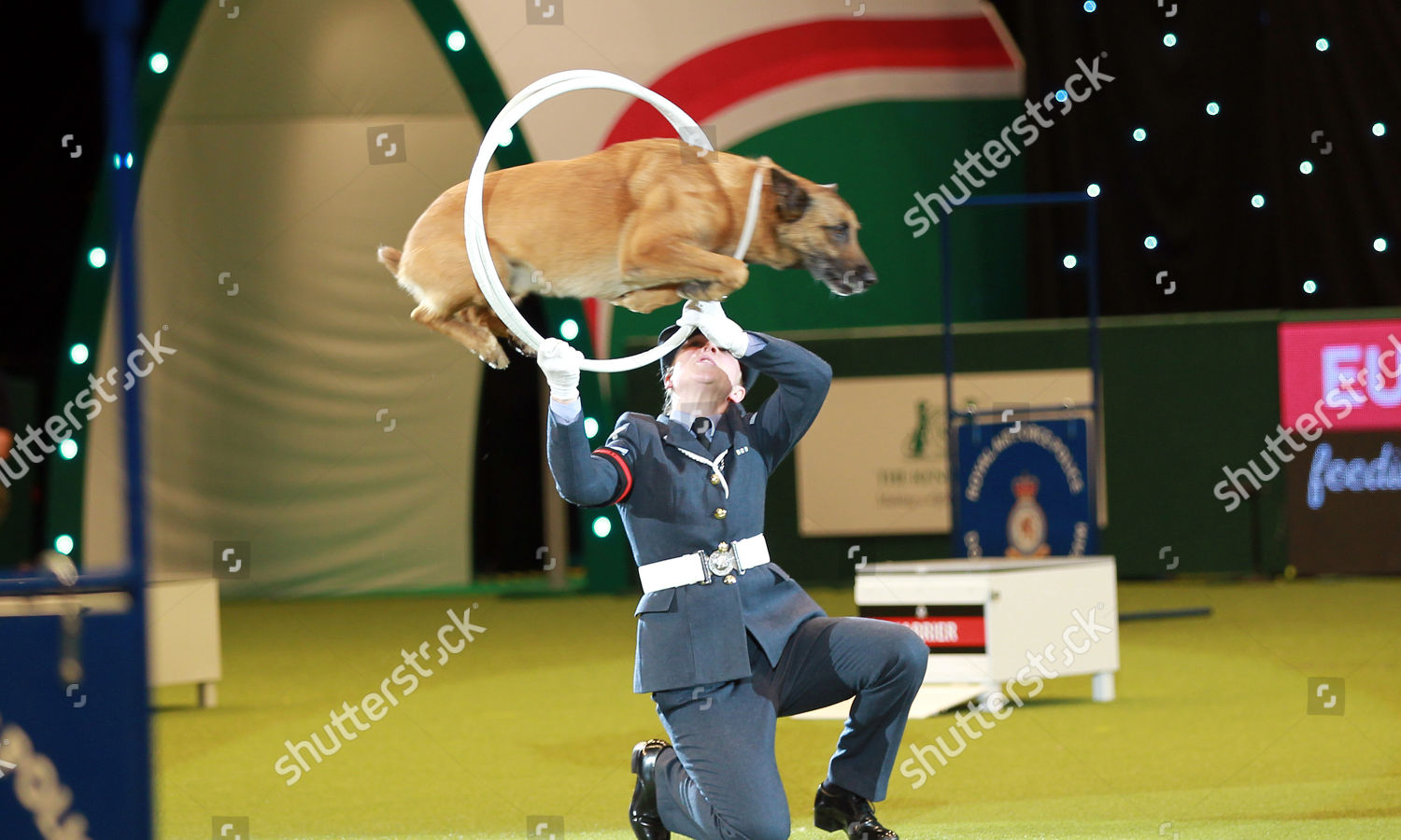 RAF POLICE DOG DISPLAY Editorial Stock Photo - Stock Image | Shutterstock