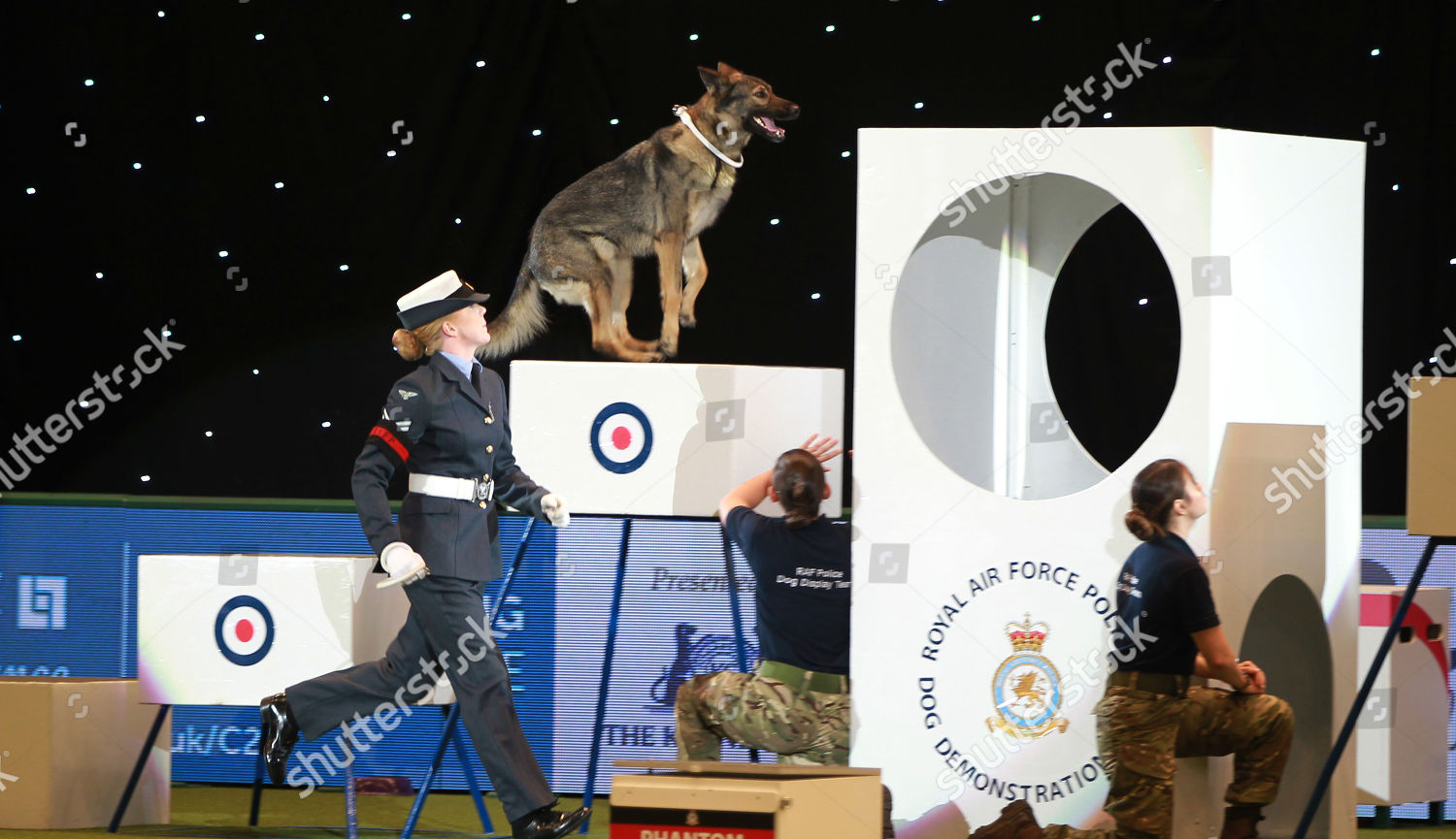 Raf Police Dog Display Editorial Stock Photo - Stock Image | Shutterstock