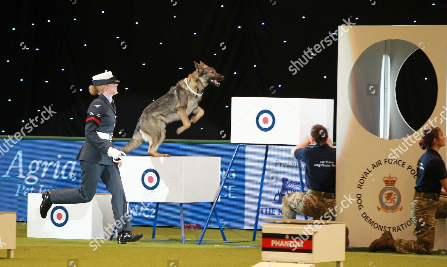 Raf Police Dog Display Editorial Stock Photo - Stock Image | Shutterstock
