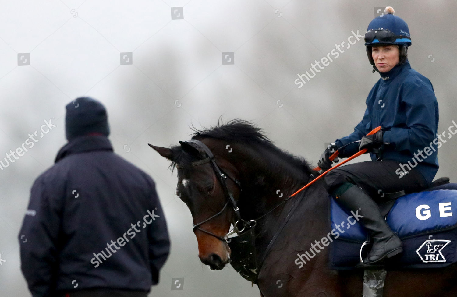 Lisa Oneill On Board Apples Jade Editorial Stock Photo - Stock Image ...