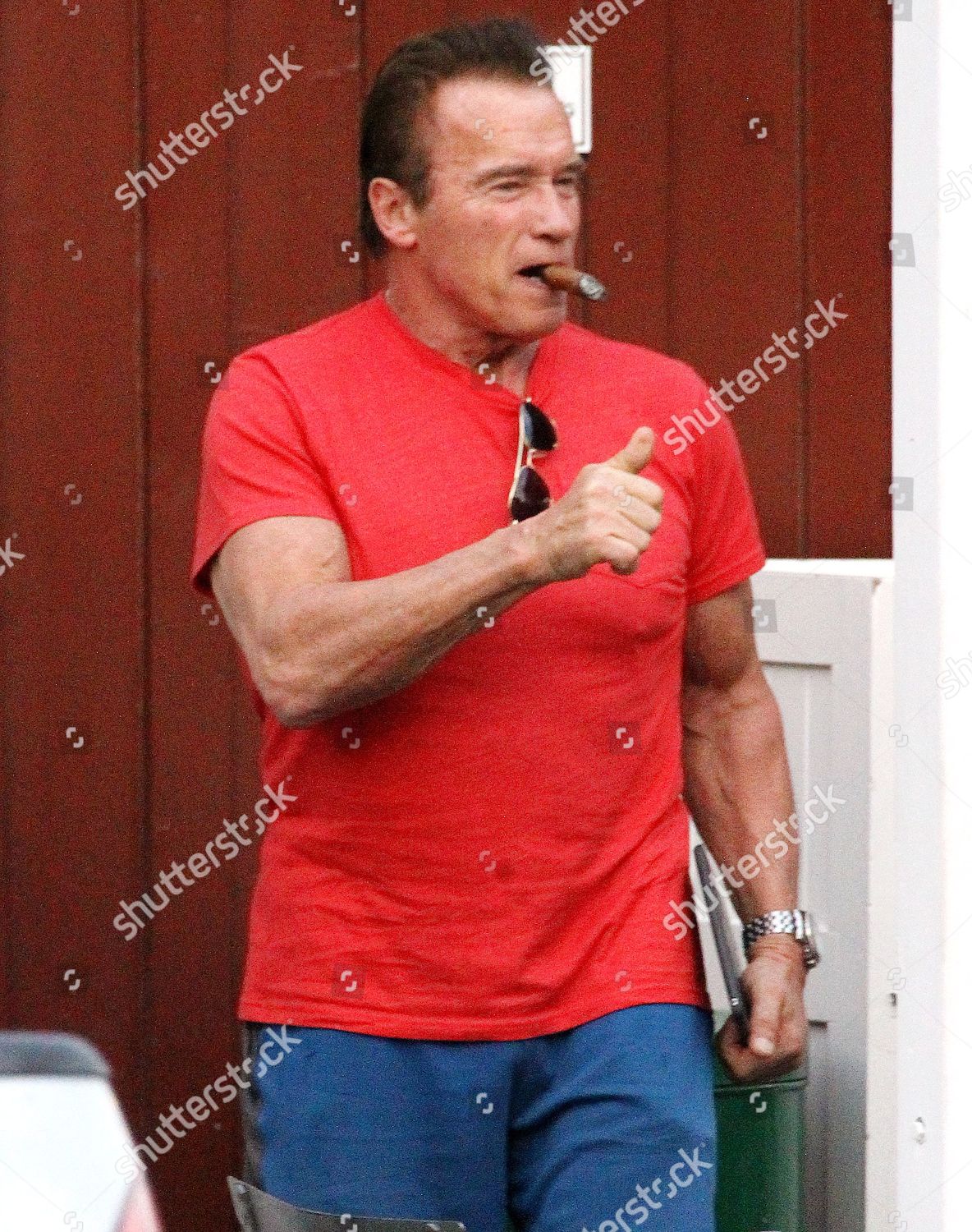 Arnold Schwarzenegger Editorial Stock Photo - Stock Image | Shutterstock
