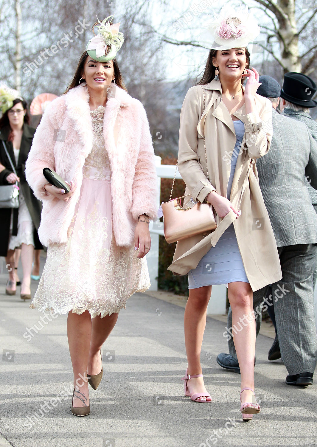 Miss Cheltenham Finalists Editorial Stock Photo - Stock Image ...