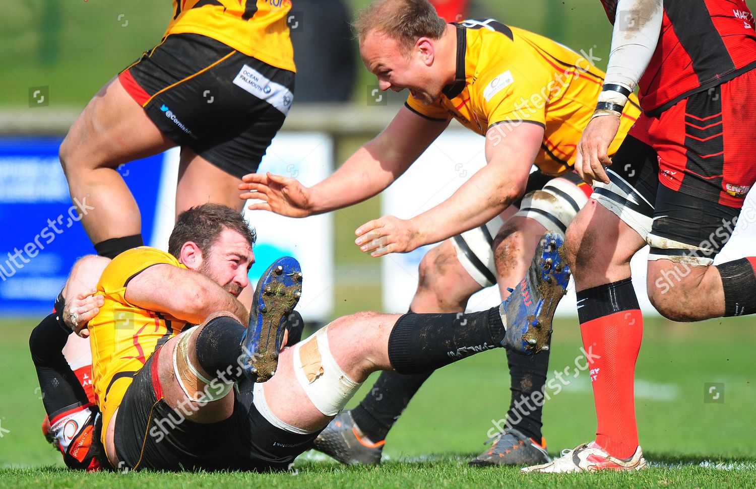 Try Celebrations Tom Duncan Cornish Pirates Editorial Stock Photo ...