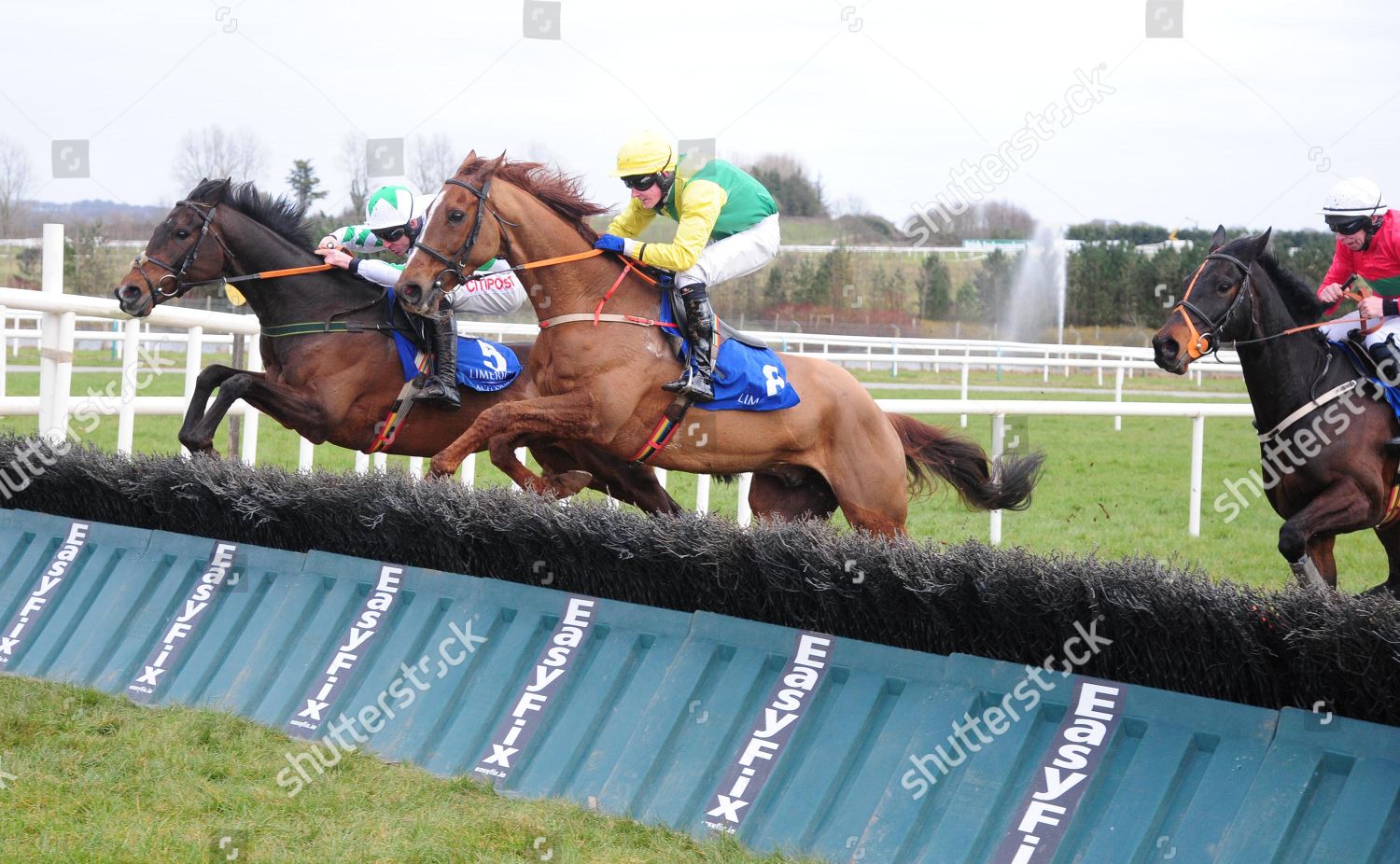 Limerick Chateauneuf Du Pap Davy Russell Editorial Stock Photo - Stock ...