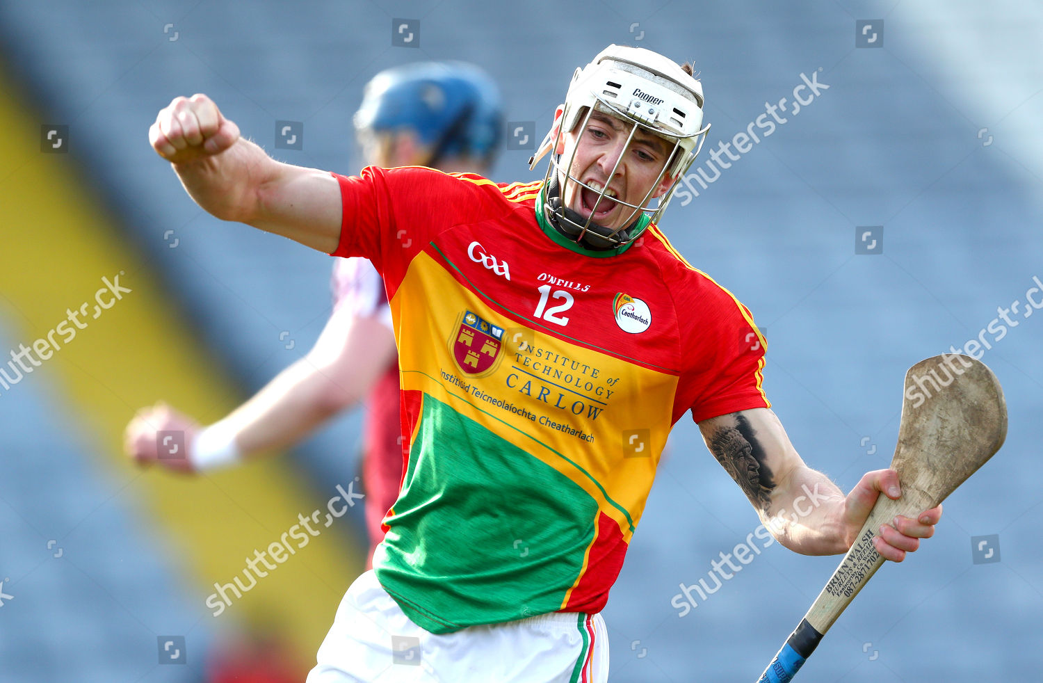 Westmeath Vs Carlow James Doyle Celebrate Editorial Stock Photo - Stock ...