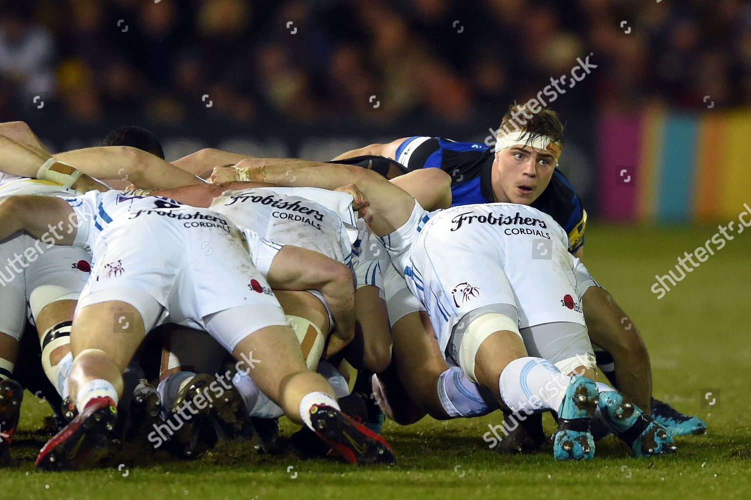 Tom Ellis Bath Rugby Looks On Editorial Stock Photo - Stock Image ...