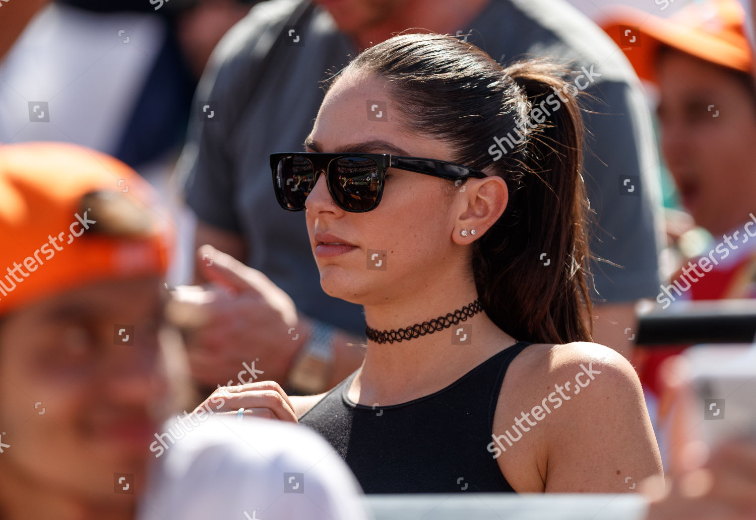 Miami Open Spectators During Mens Final Editorial Stock Photo - Stock ...