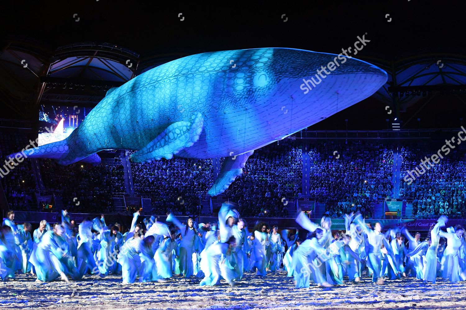Migaloo Inflatable Humpback Whale Floats Above Editorial Stock Photo ...