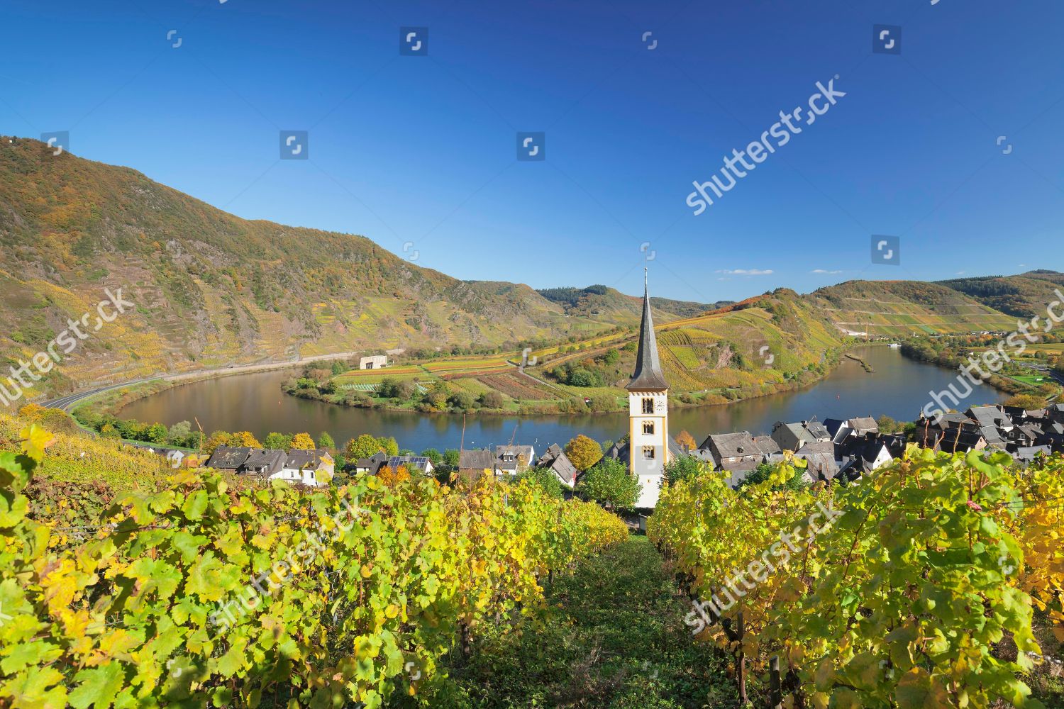 Vineyard Moselleschleife Near Bremm Bremmer Calmont Editorial Stock ...