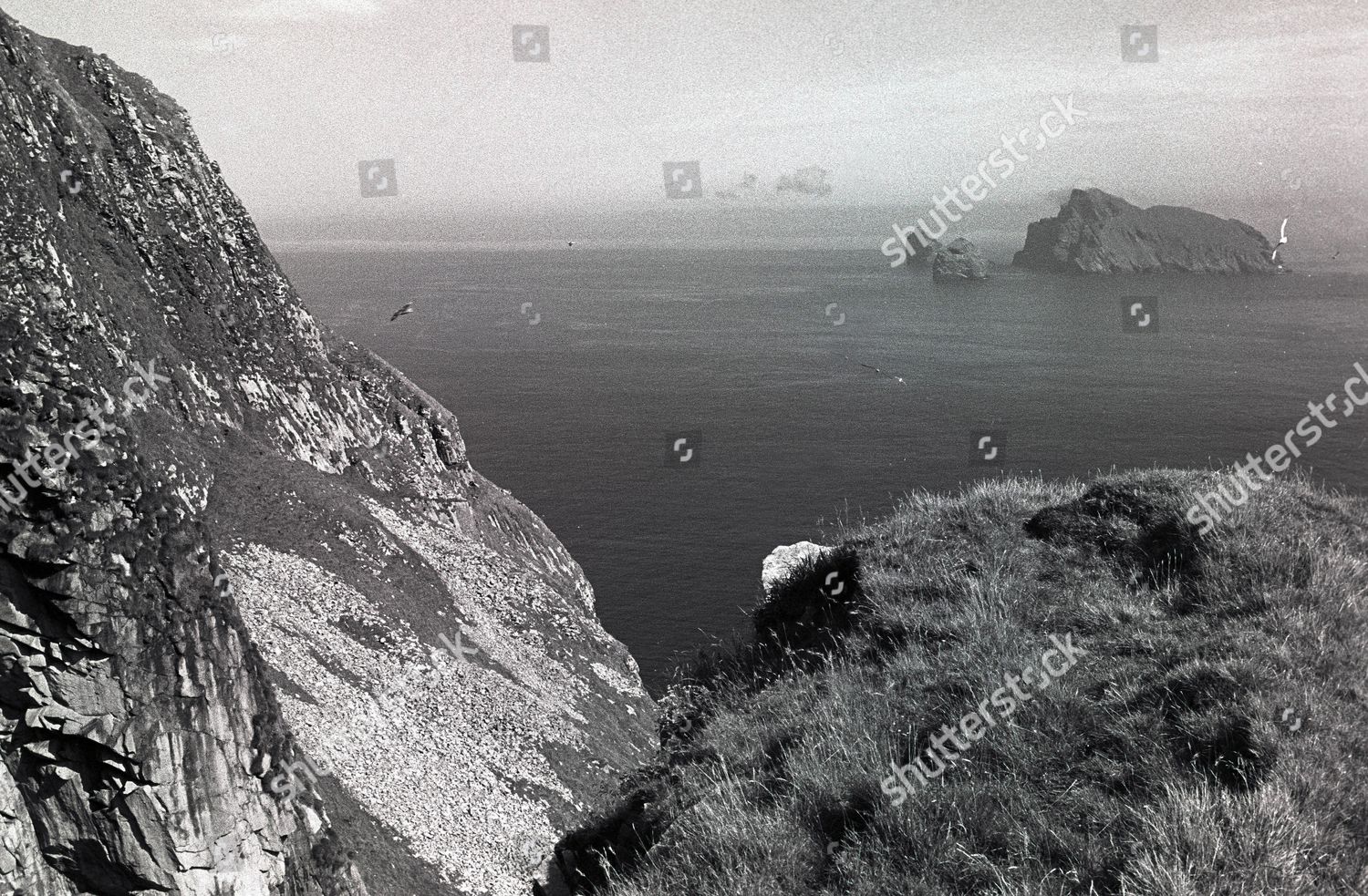 View Boreray Stac Lee St Kilda Editorial Stock Photo - Stock Image ...