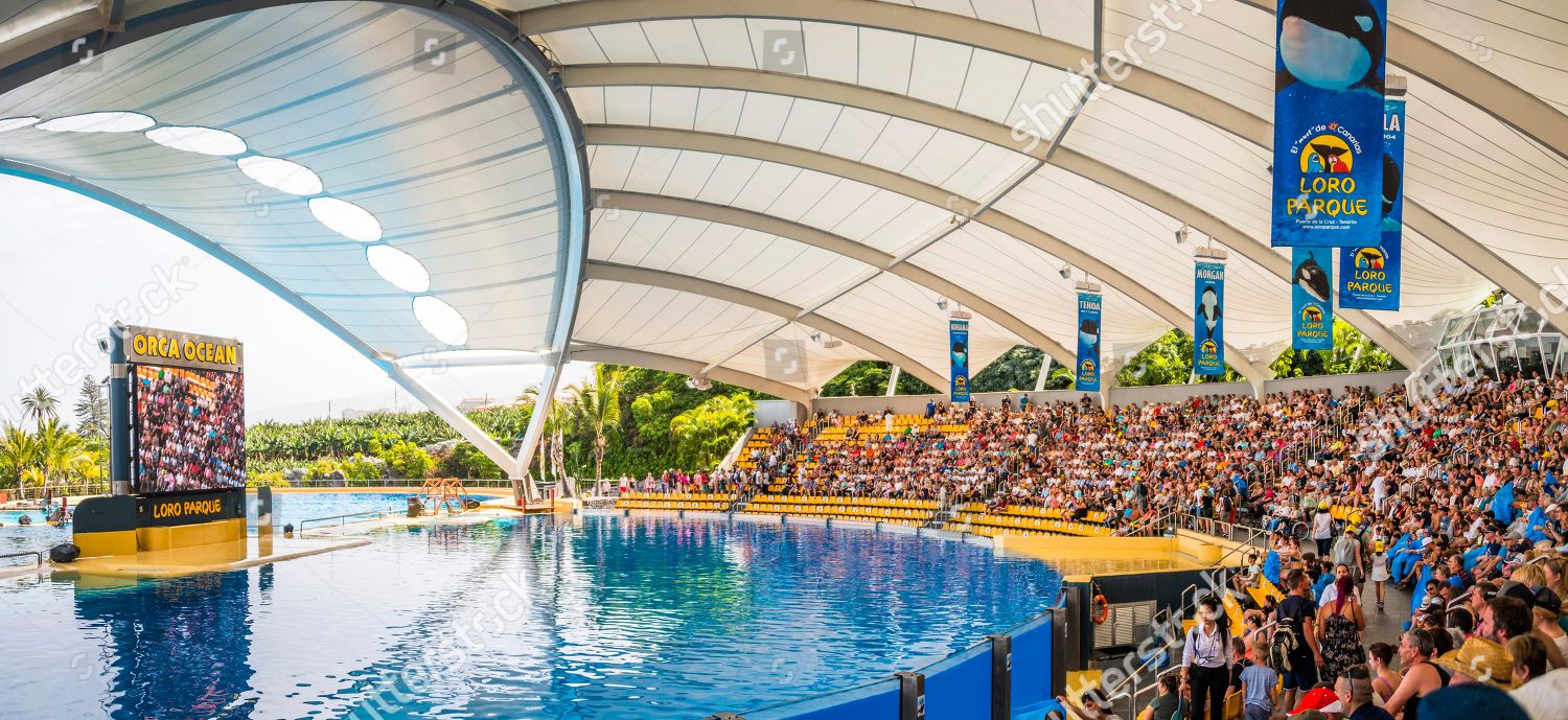 Arena Grandstand Orca Show Basin Loro Editorial Stock Photo - Stock ...