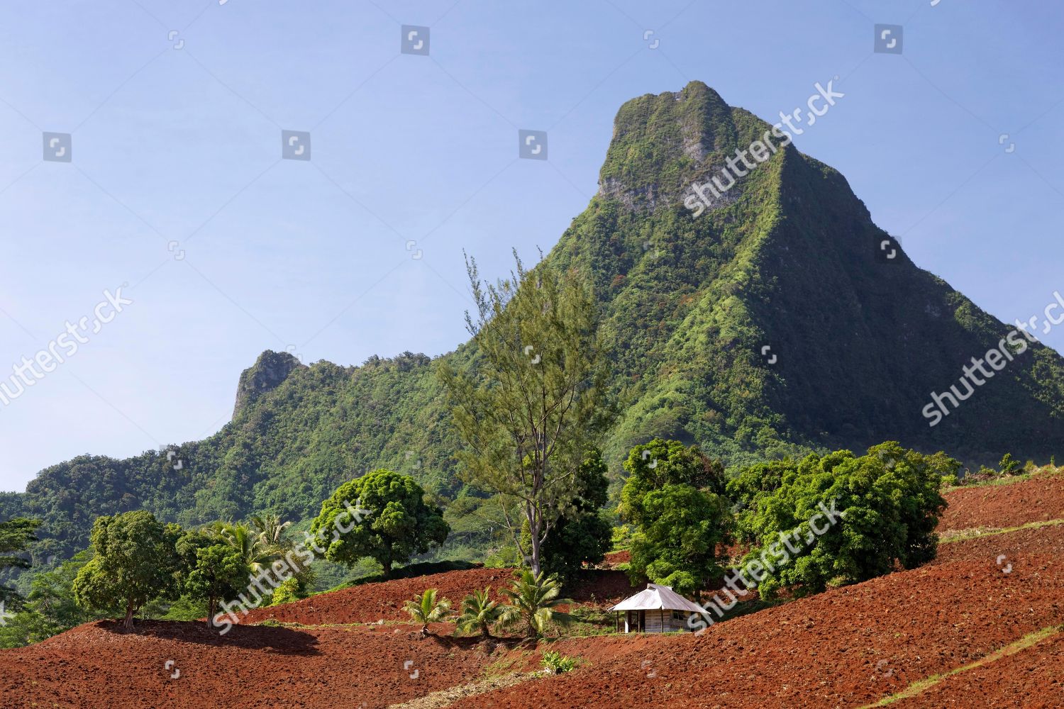 Agricultural Land Arable Land Cultivation Mountainous Editorial Stock ...