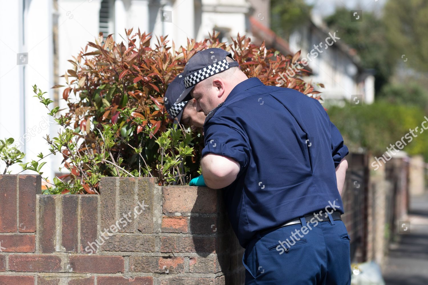 Police Search Teams Crime Scene Cordon Editorial Stock Photo - Stock ...