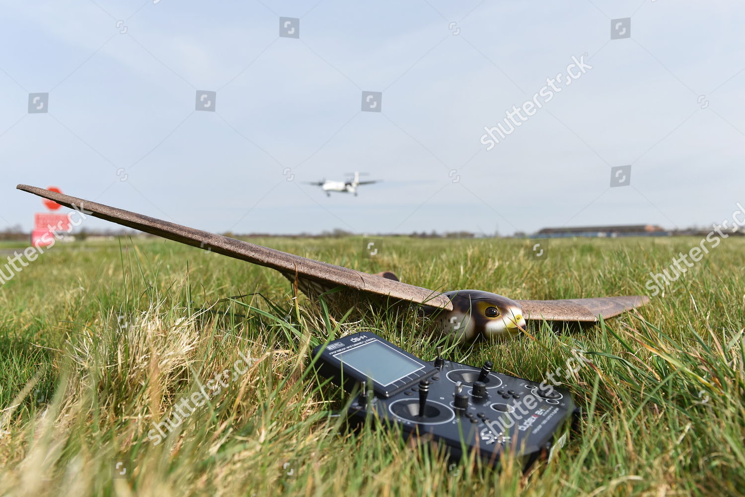 New Robird Ornithopter Drone Flown Mimic Editorial Stock Photo - Stock ...