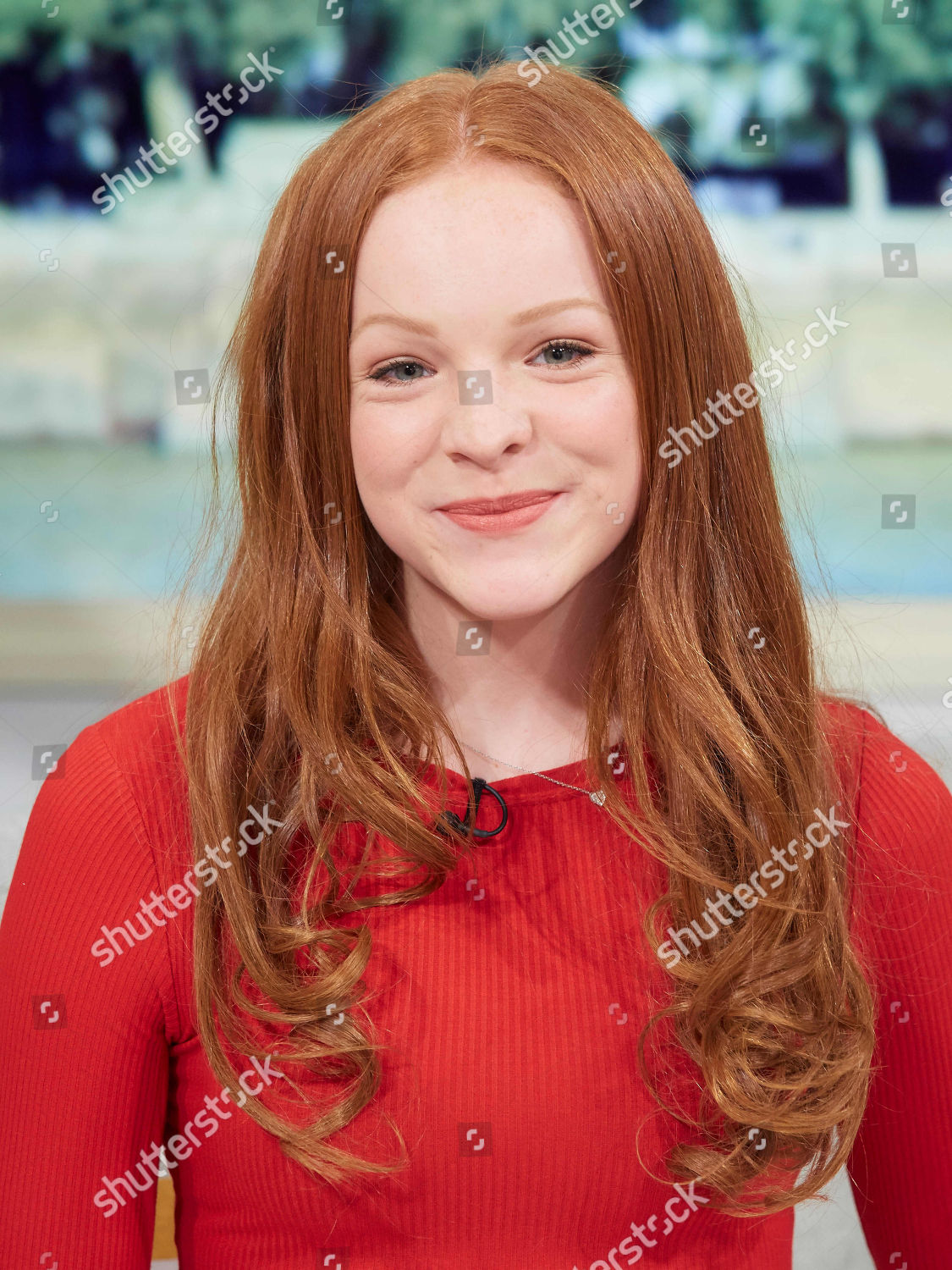 Harley Bird Editorial Stock Photo - Stock Image | Shutterstock
