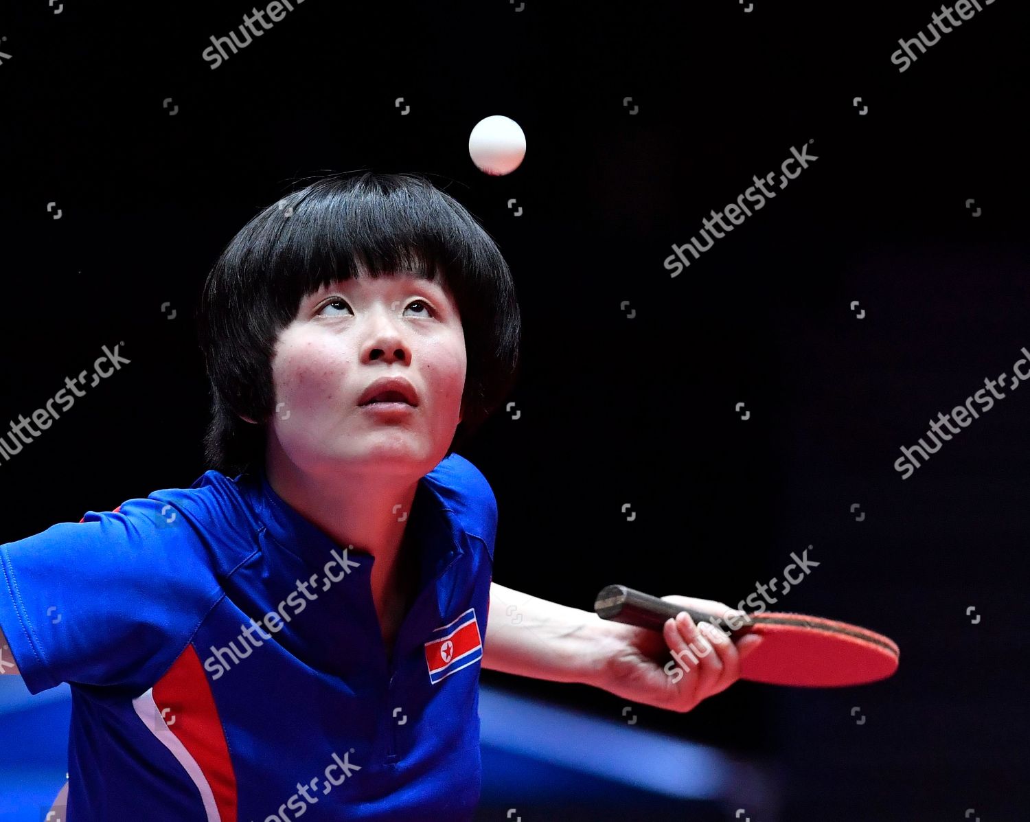 Cha Hyo Sim Editorial Stock Photo - Stock Image | Shutterstock
