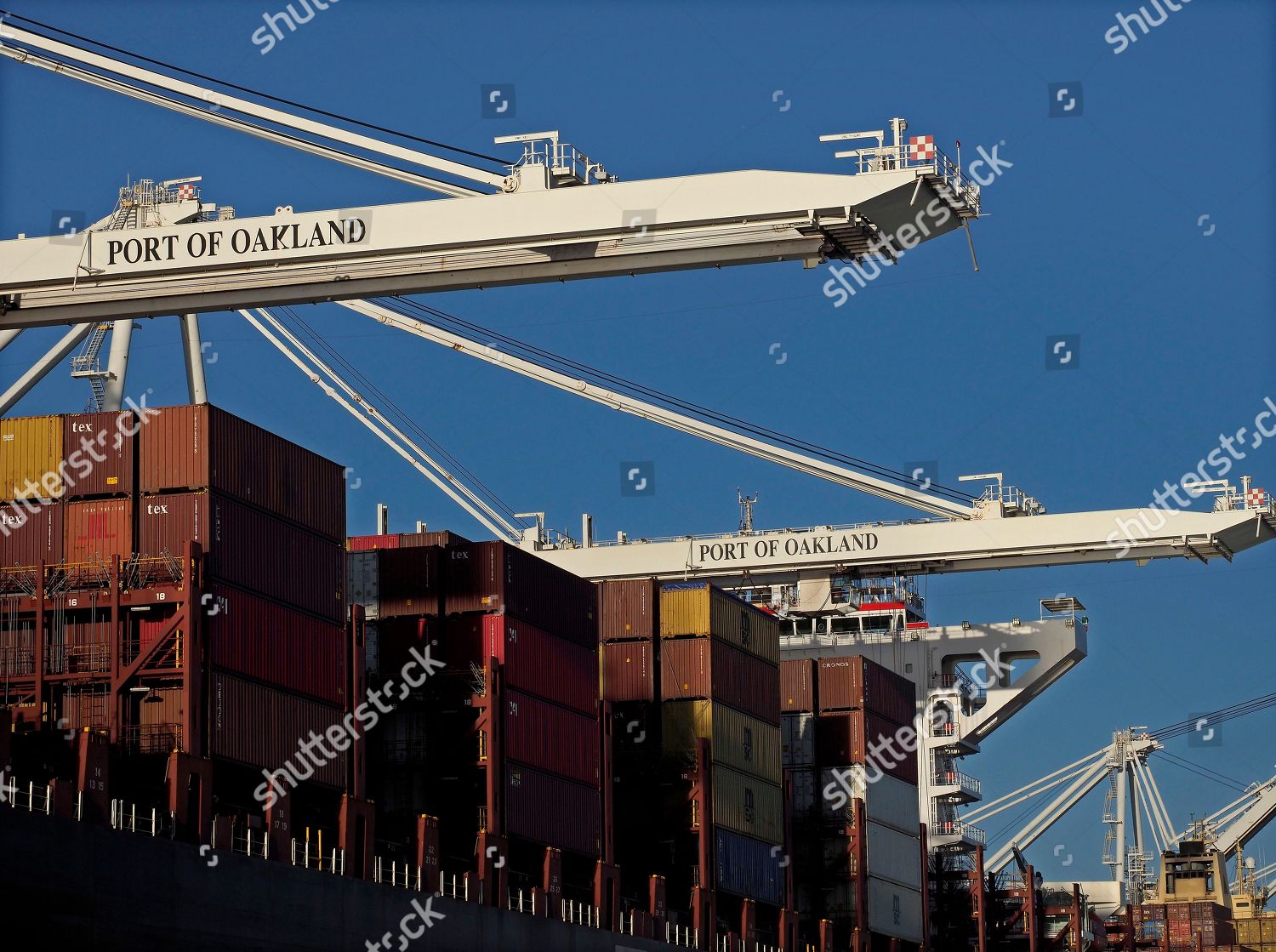 Msc Julie Panama Container Ship Unloads Editorial Stock Photo - Stock ...