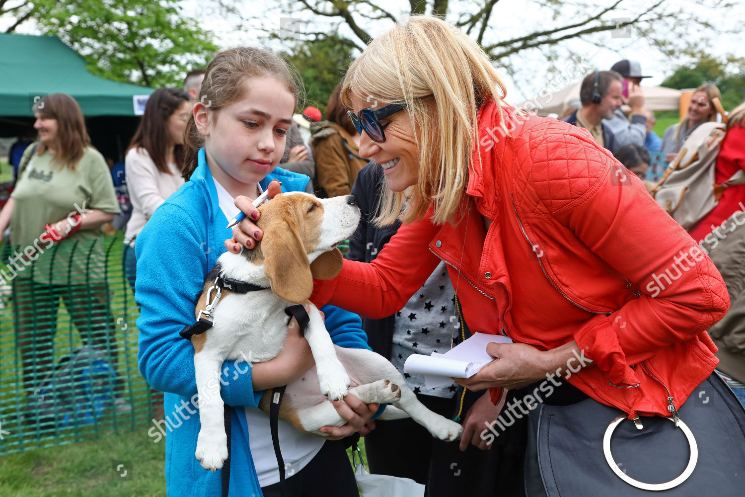 Judge Michelle Collins Dakota Beagle All Editorial Stock Photo - Stock ...