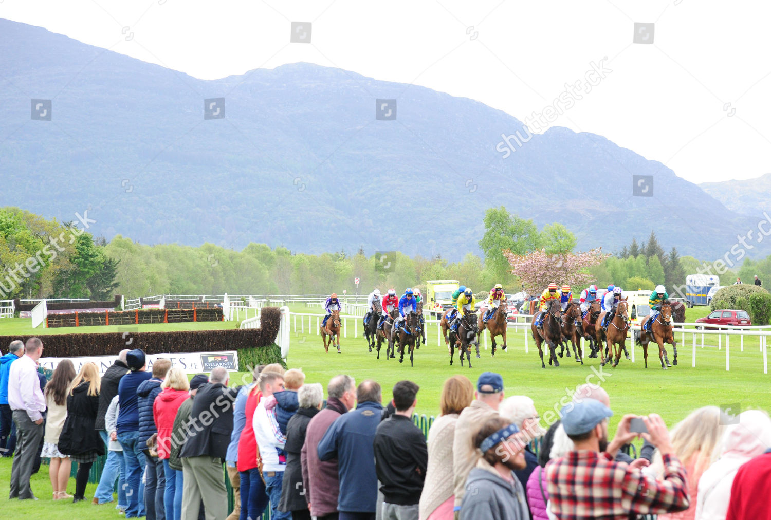 Killarney Action Sika Signs Maiden Hurdle Editorial Stock Photo - Stock ...