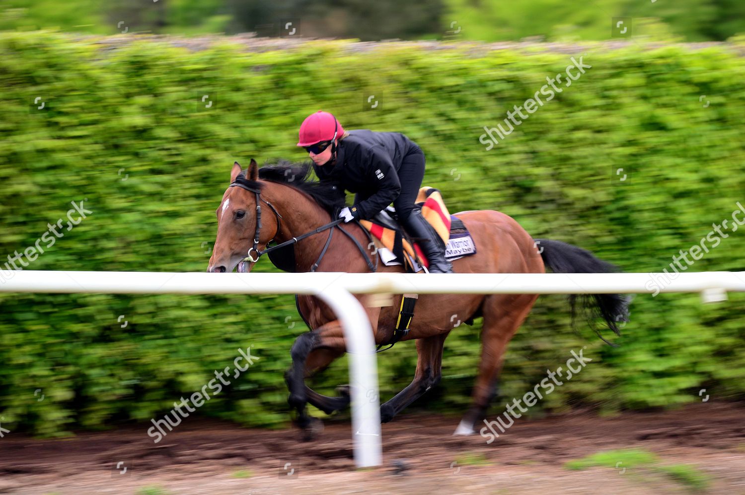 Ballydoyle Stables Investec Epsom Derby Morning Editorial Stock Photo ...