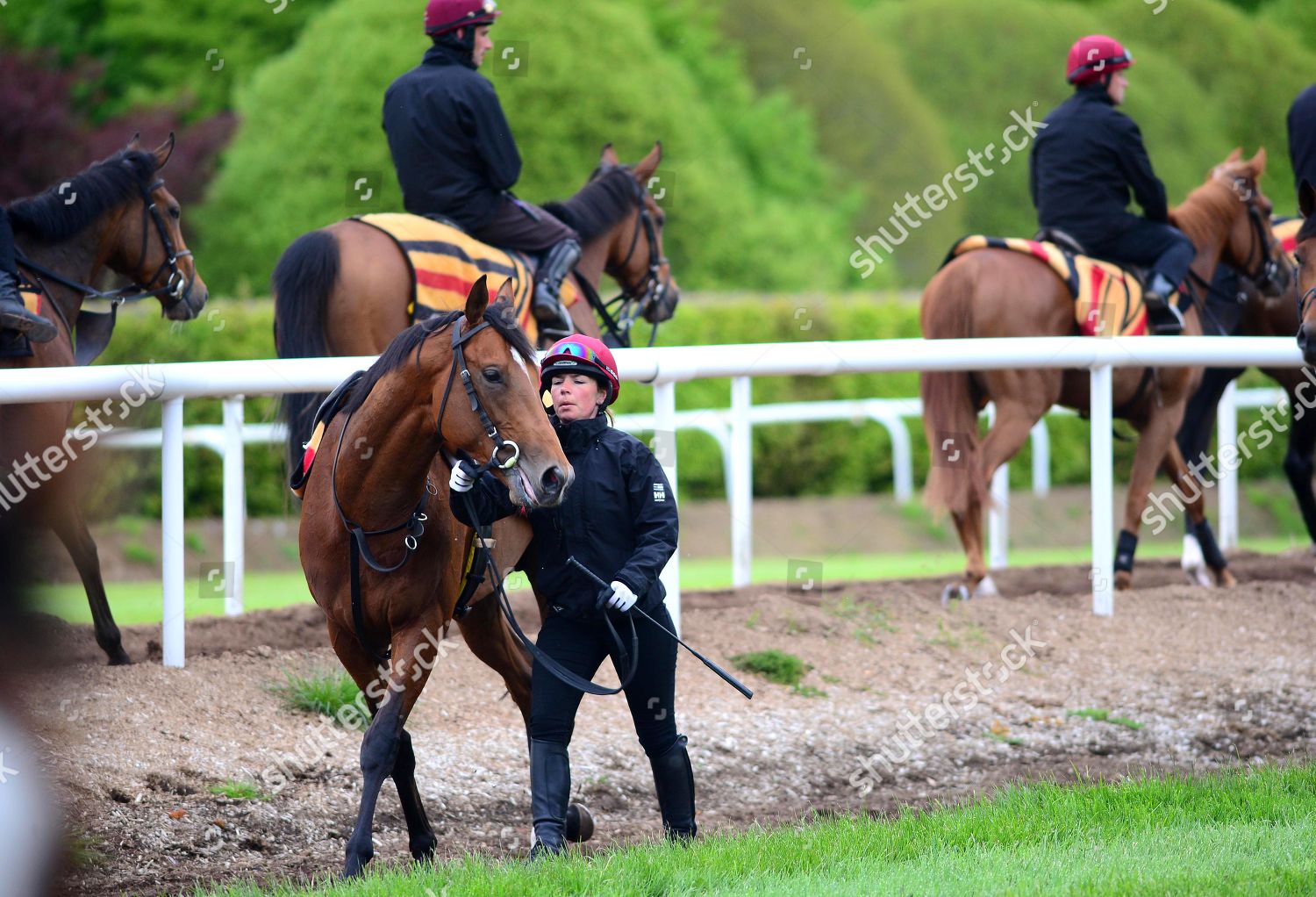 Ballydoyle Stables Investec Epsom Derby Morning Editorial Stock Photo ...