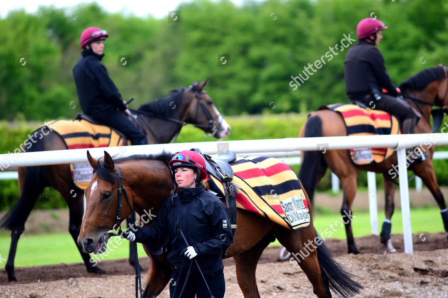 Ballydoyle Stables Investec Epsom Derby Morning Editorial Stock Photo ...