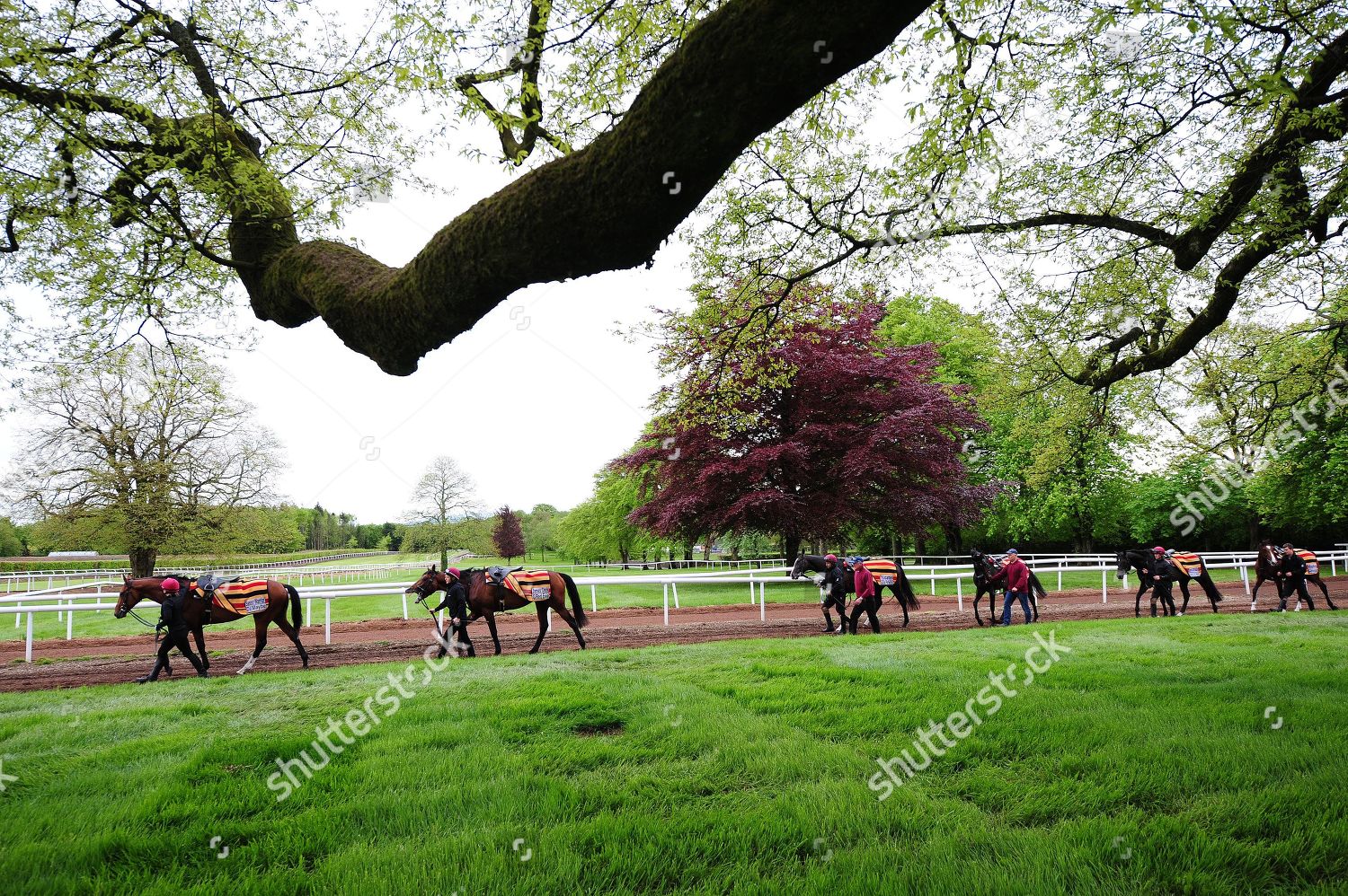 Ballydoyle Stables Investec Epsom Derby Morning Editorial Stock Photo ...