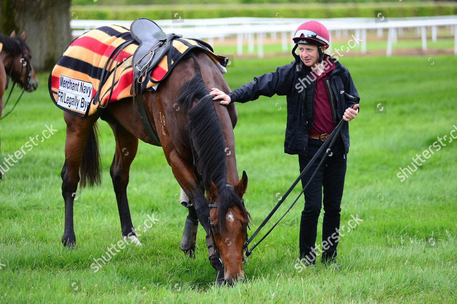 Ballydoyle Stables Investec Epsom Derby Morning Editorial Stock Photo ...