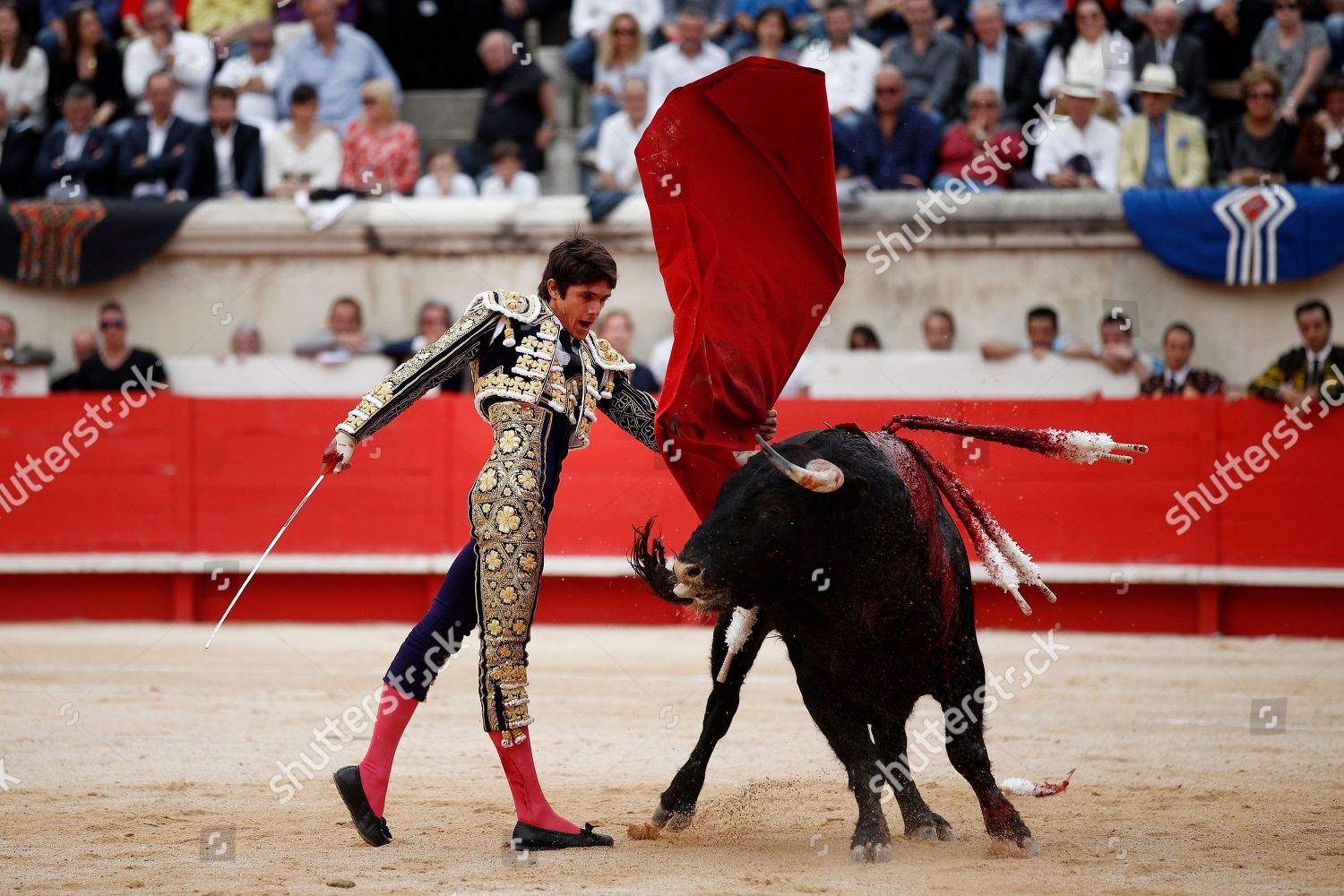 Sebastien Castella Editorial Stock Photo - Stock Image | Shutterstock