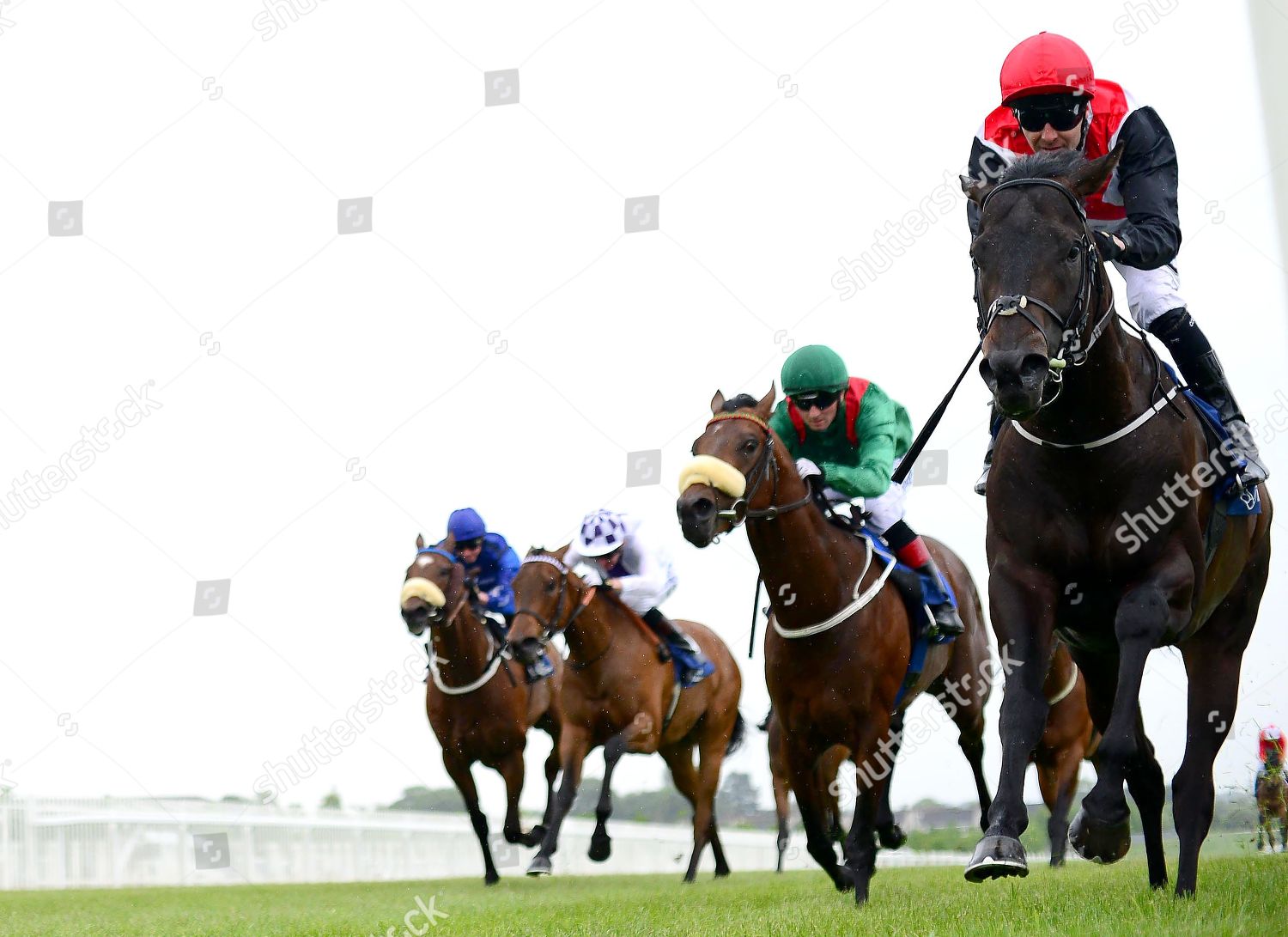Naas Brother Bear Colm Odonoghue Winning Editorial Stock Photo - Stock ...