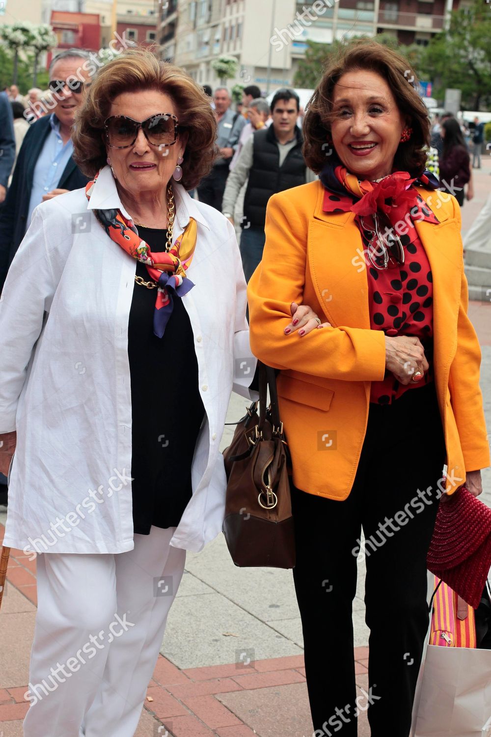 Marian Camino Editorial Stock Photo - Stock Image | Shutterstock