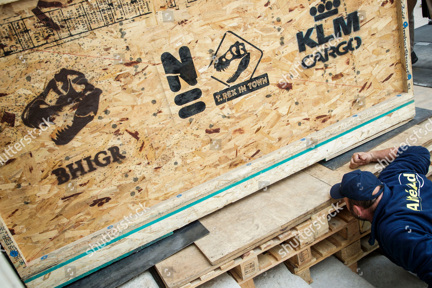 Staff Members Move Shipping Crates Carrying Editorial Stock Photo ...