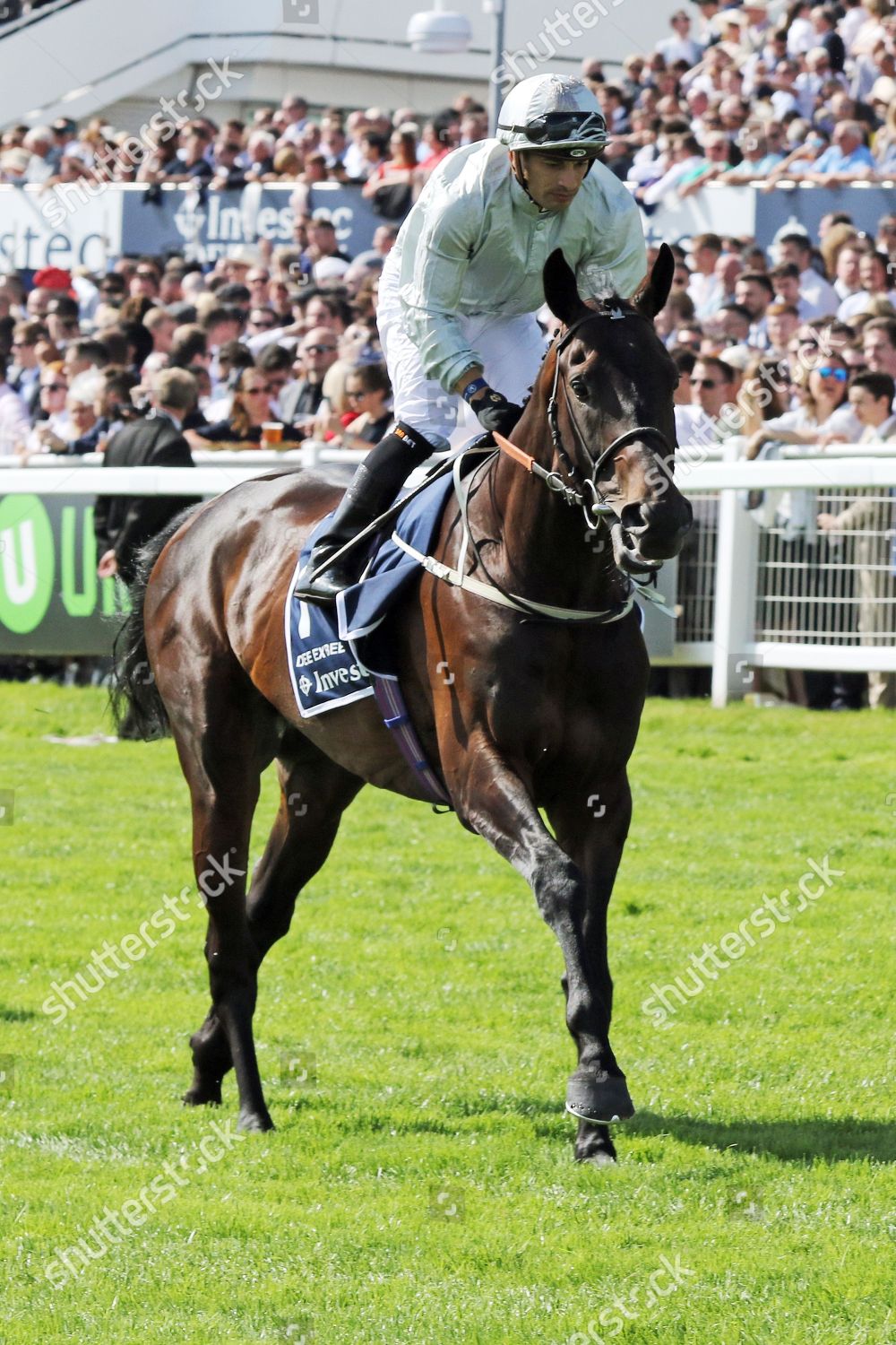 Epsom Gb Dee Ex Bee Silvestre Editorial Stock Photo - Stock Image ...