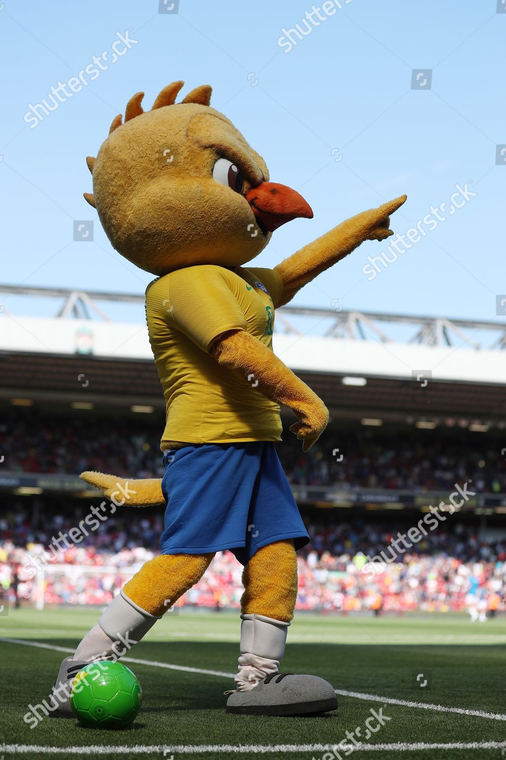Brazil Football Mascot Canarinho Editorial Stock Photo - Stock Image ...