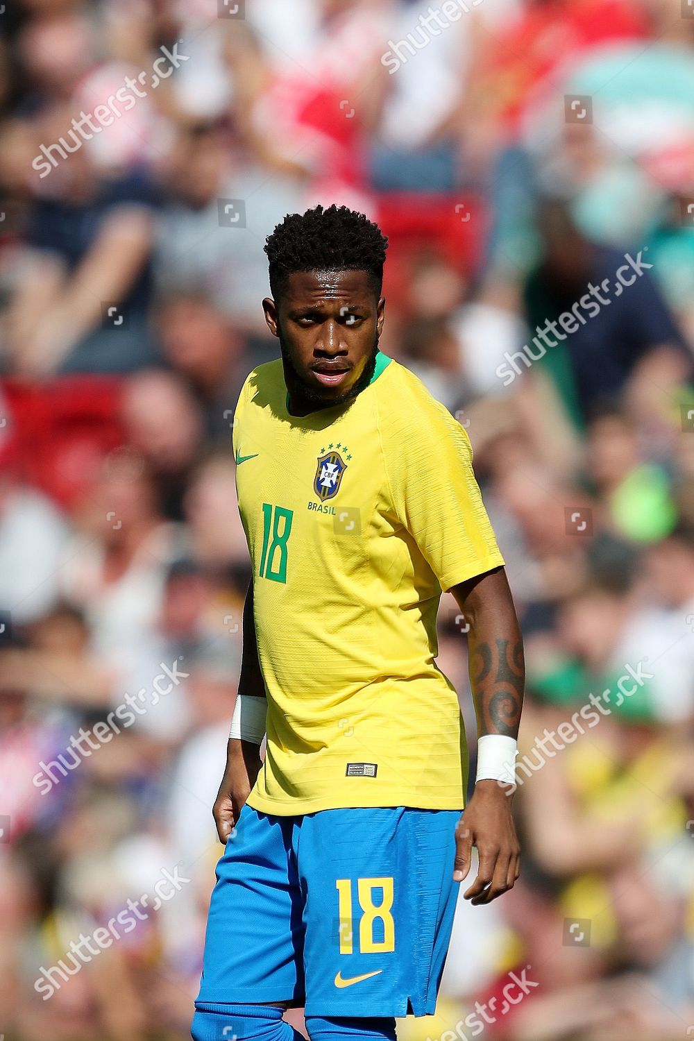 Fred Brazil Editorial Stock Photo - Stock Image | Shutterstock