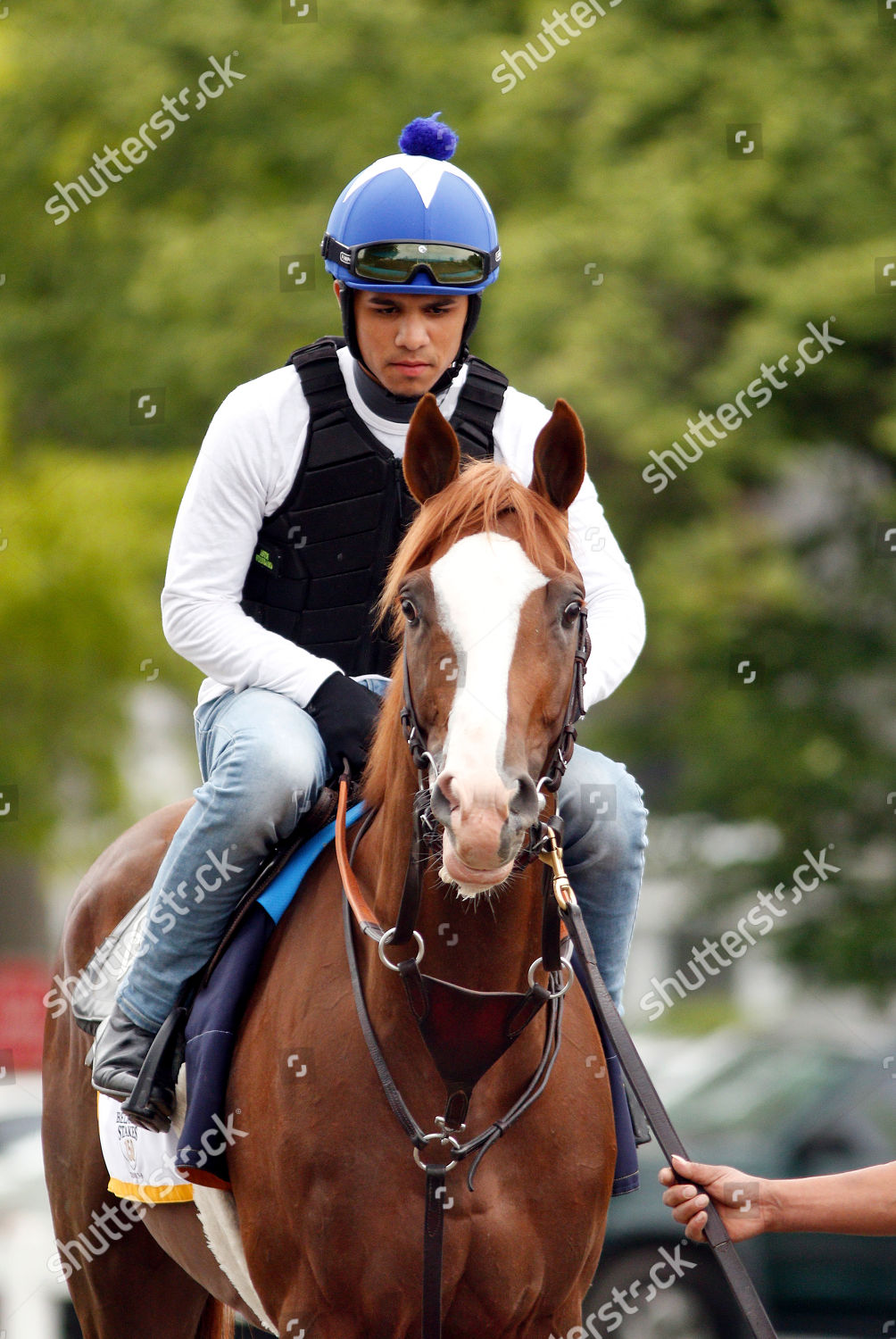 Free Drop Billy Exercising Preparation Belmont Editorial Stock Photo ...