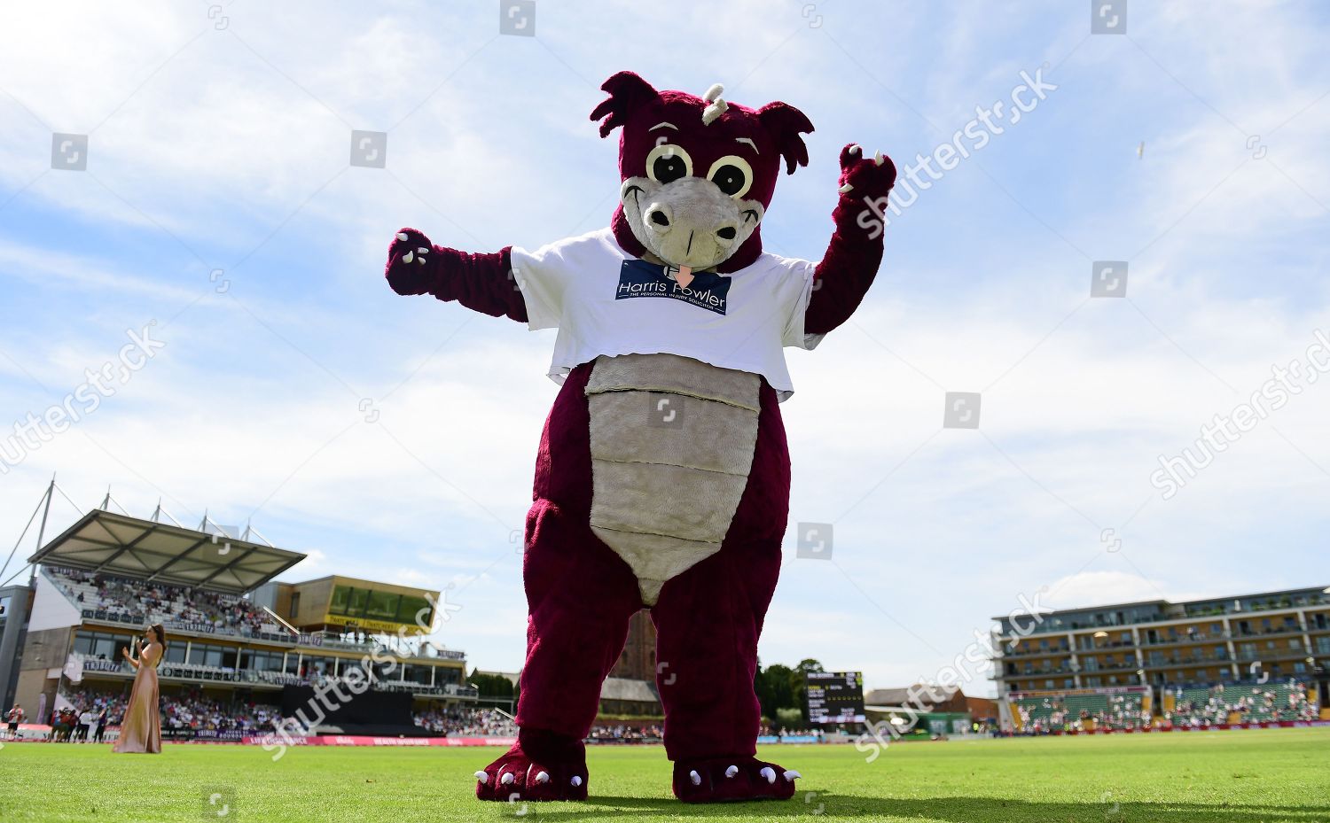 Stumpy Somerset Mascot Editorial Stock Photo - Stock Image | Shutterstock