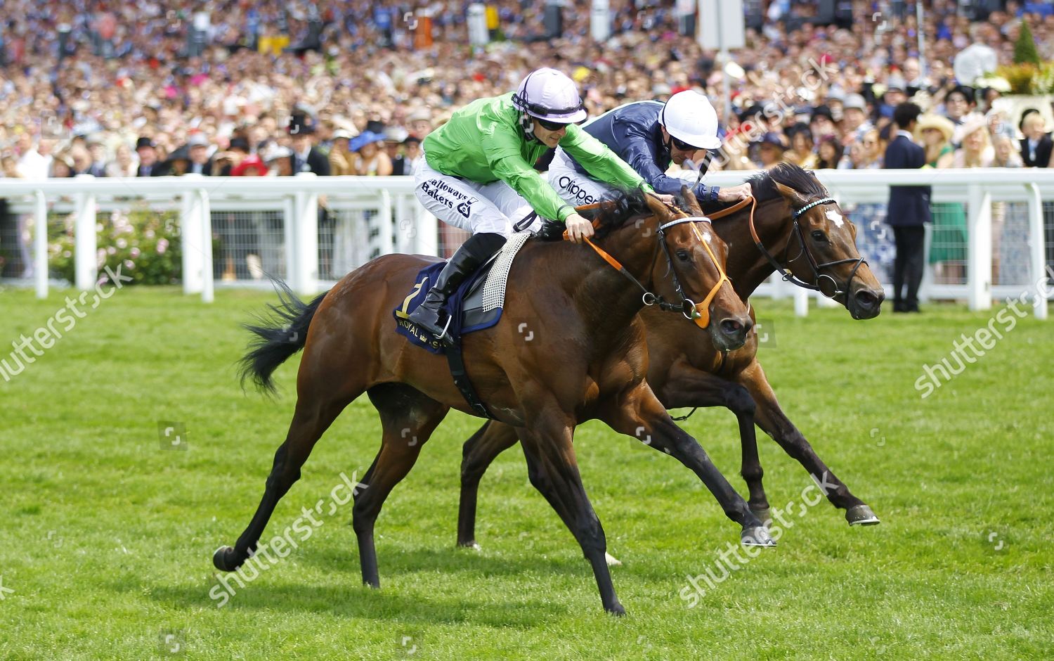 Arthur Kitt Richard Kingscote Win Chesham Editorial Stock Photo - Stock ...