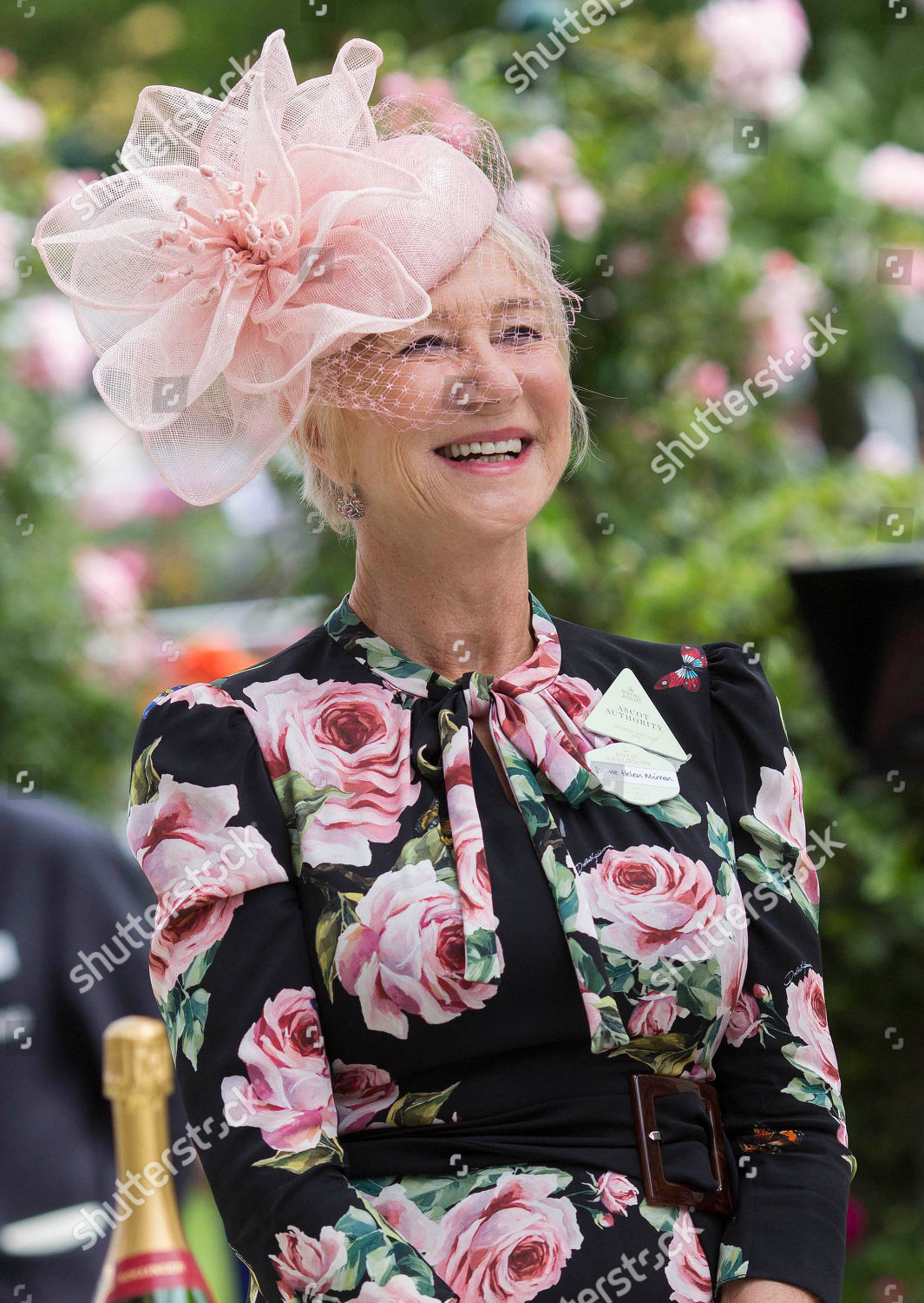 Helen Mirren Presents Prize Hardwick Stakes Editorial Stock Photo ...
