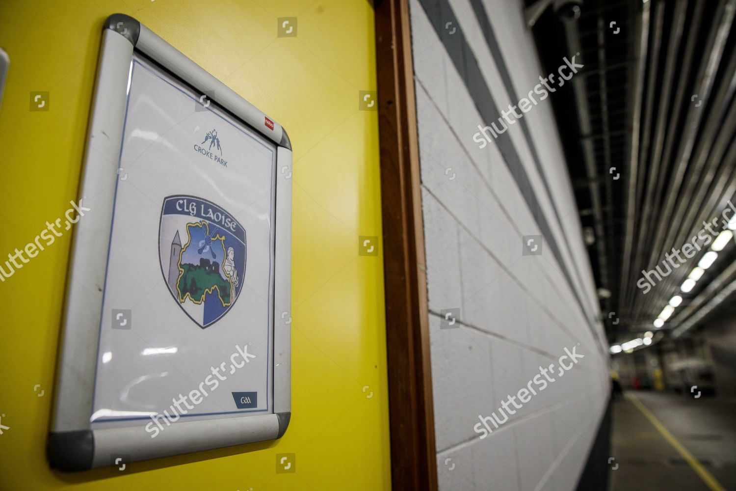 Laois Vs Dublin View Laois Crest Editorial Stock Photo - Stock Image ...