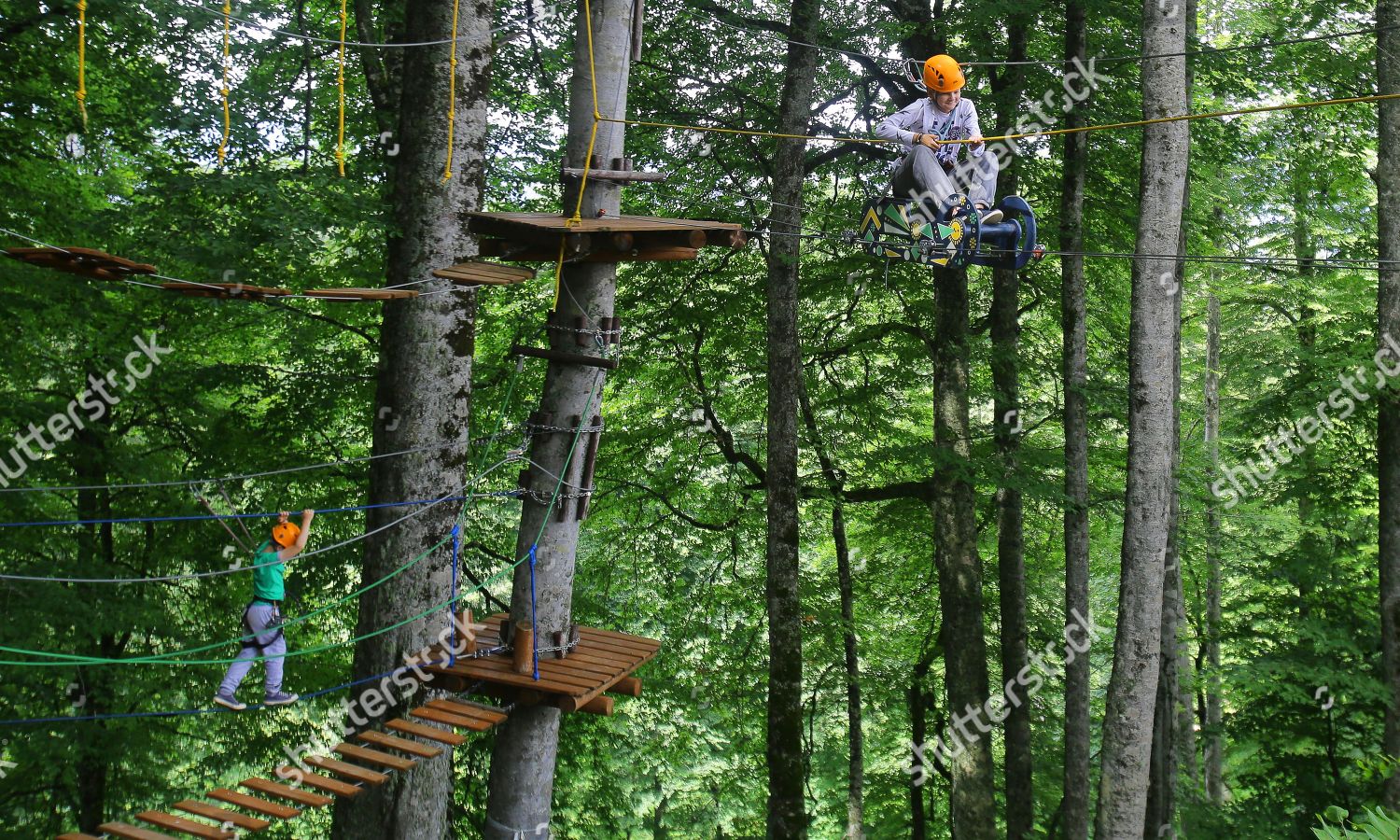 Visitors Climb Tree Climbing Park Rosa Editorial Stock Photo - Stock ...
