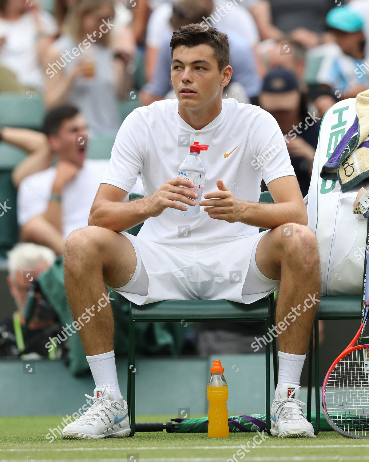 Taylor Harry Fritz Editorial Stock Photo - Stock Image | Shutterstock