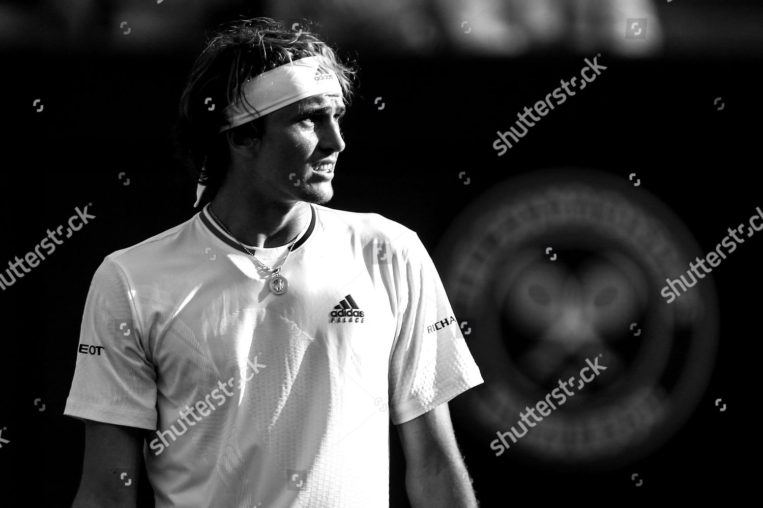 Alexander Zverev During His Gentlemens Singles Editorial Stock Photo - Stock Image | Shutterstock