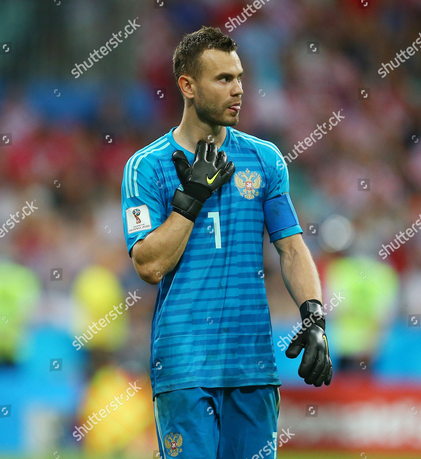 Russia Goalkeeper Igor Akinfeev Editorial Stock Photo - Stock Image ...