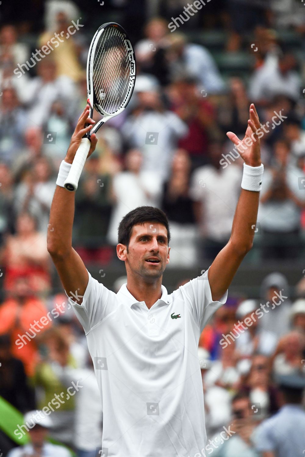 Novak Djokovic Celebrates Victory His Gentlemens Editorial Stock Photo ...