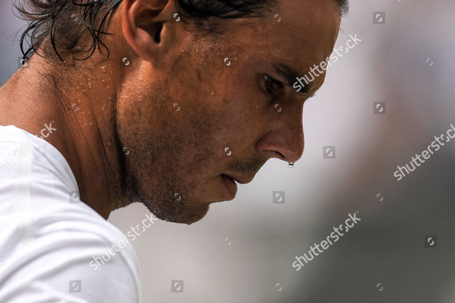 Sweat Drips Off Rafael Nadal During Editorial Stock Photo - Stock Image ...
