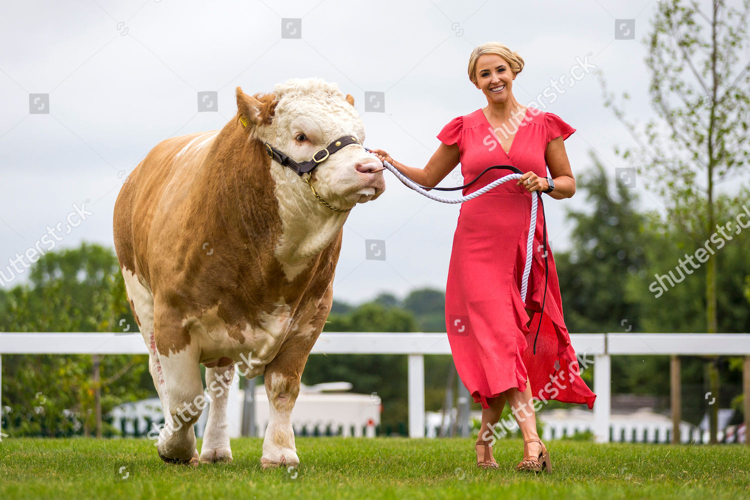 Singer Lizzie Jones Harold Pope Simmental Editorial Stock Photo - Stock ...
