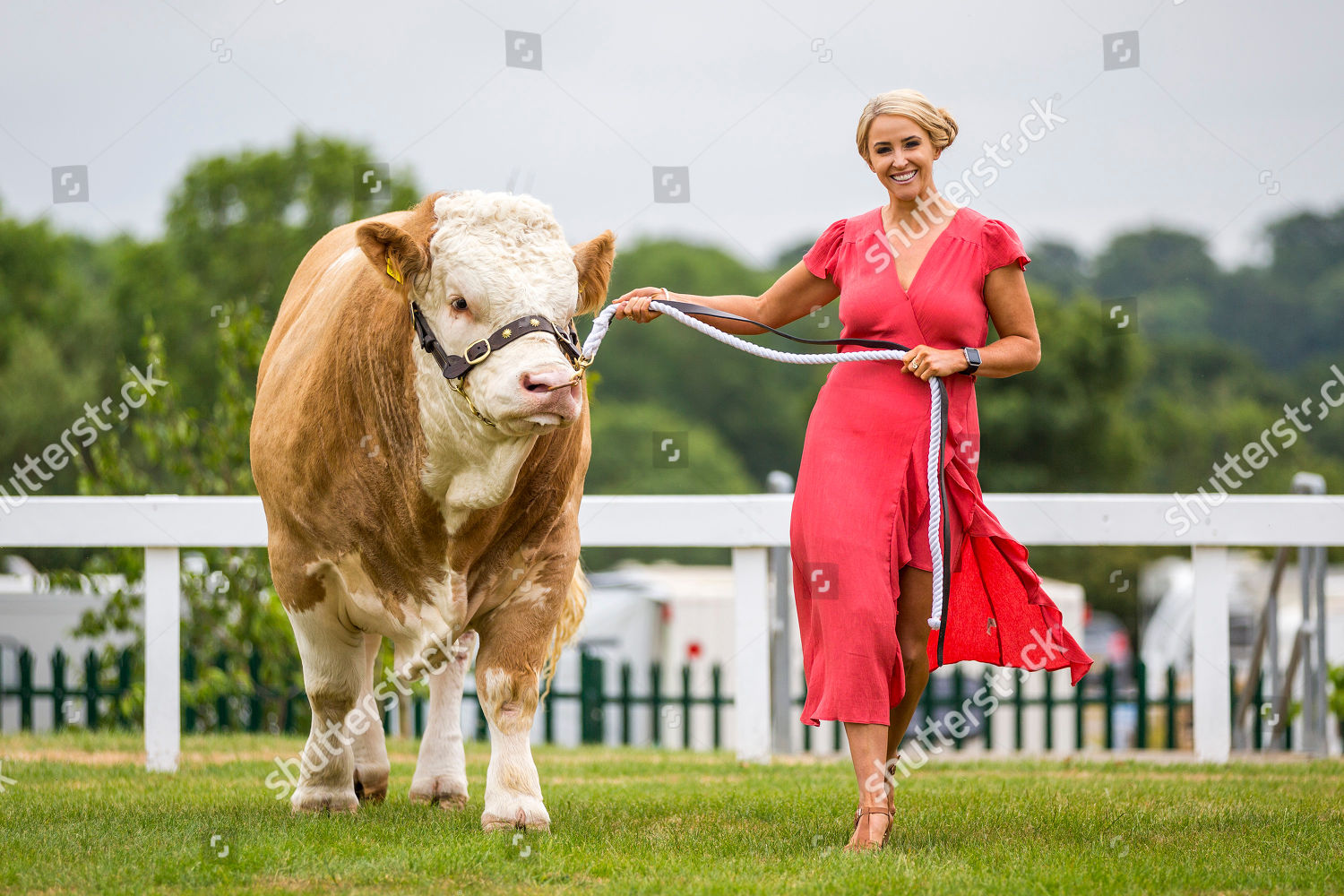 Singer Lizzie Jones Harold Pope Simmental Editorial Stock Photo - Stock ...